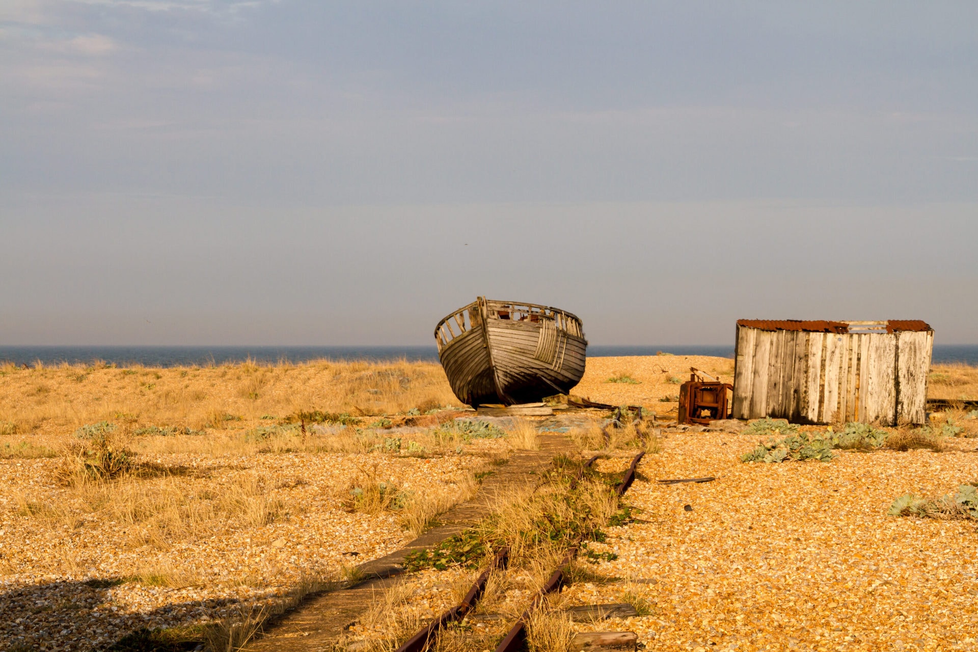 Dungeness | Hobbs Parker
