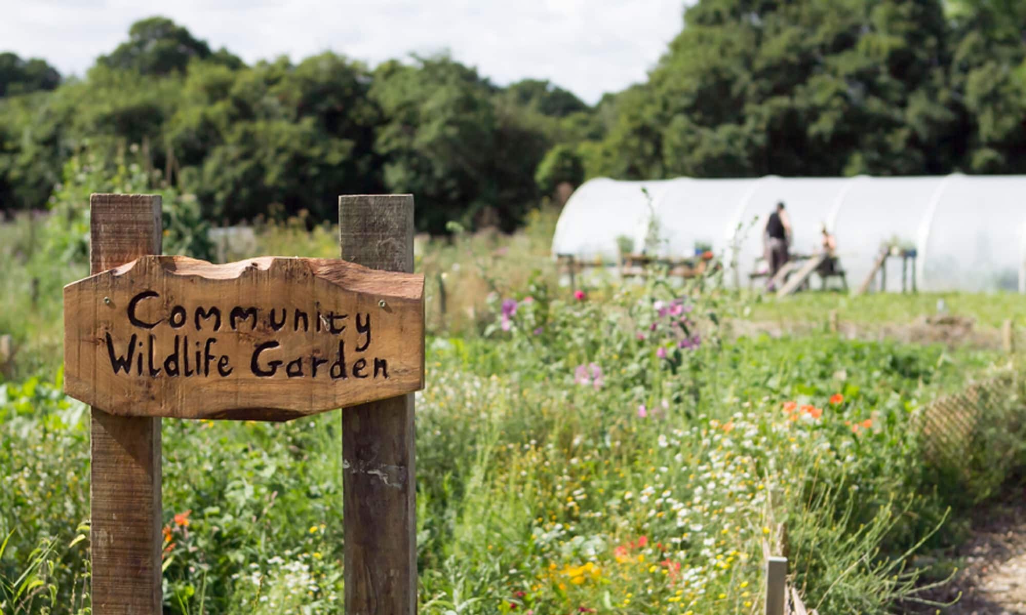 The Green Farm Spa | Hobbs Parker