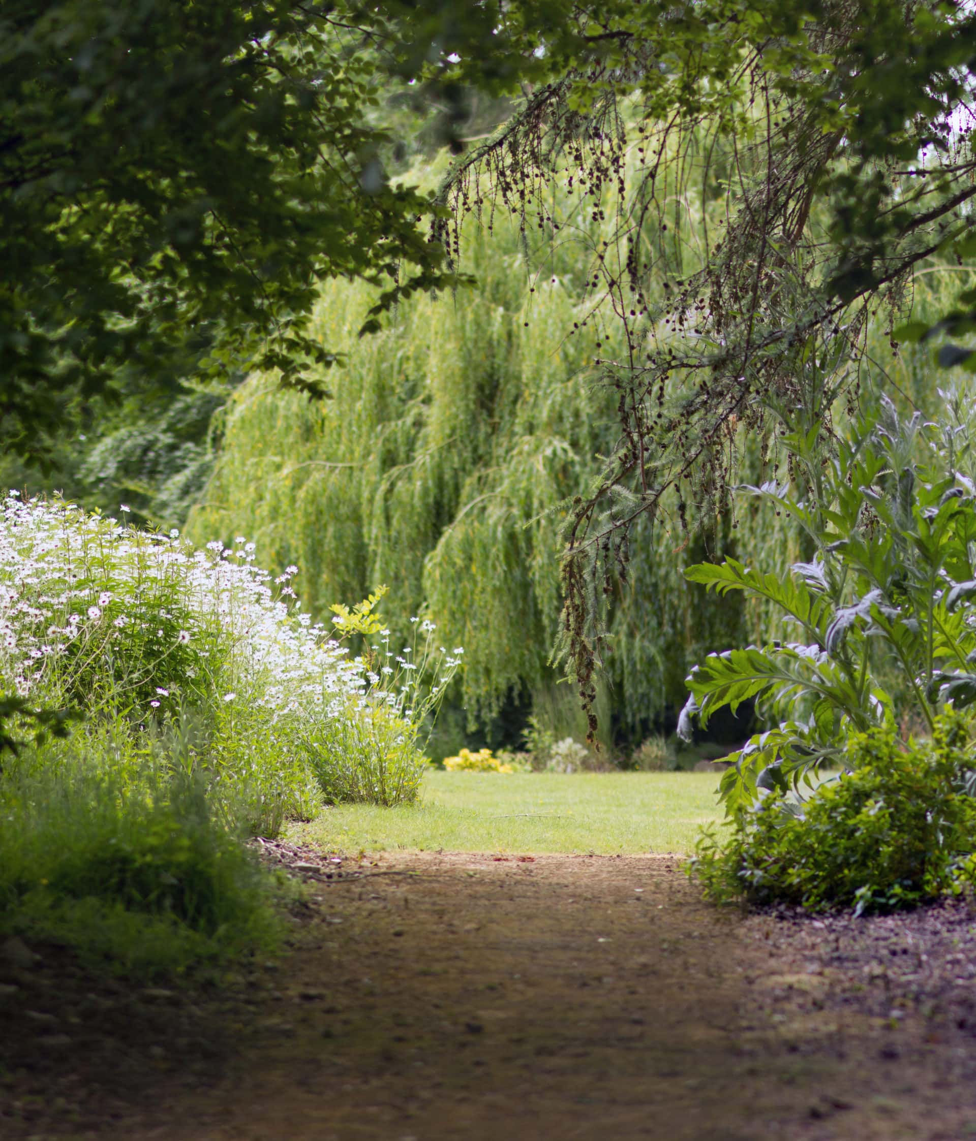 Tips to help you establish a great Wild Garden | Hobbs Parker