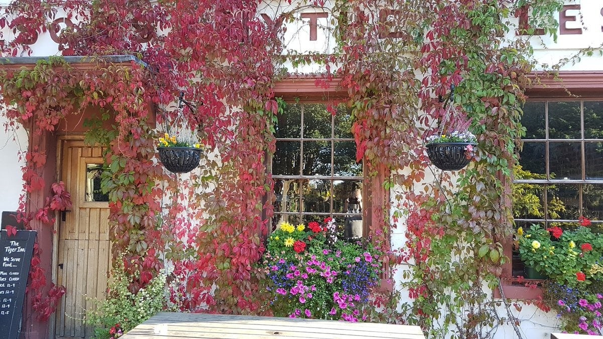 The Tiger Inn | Hobbs Parker