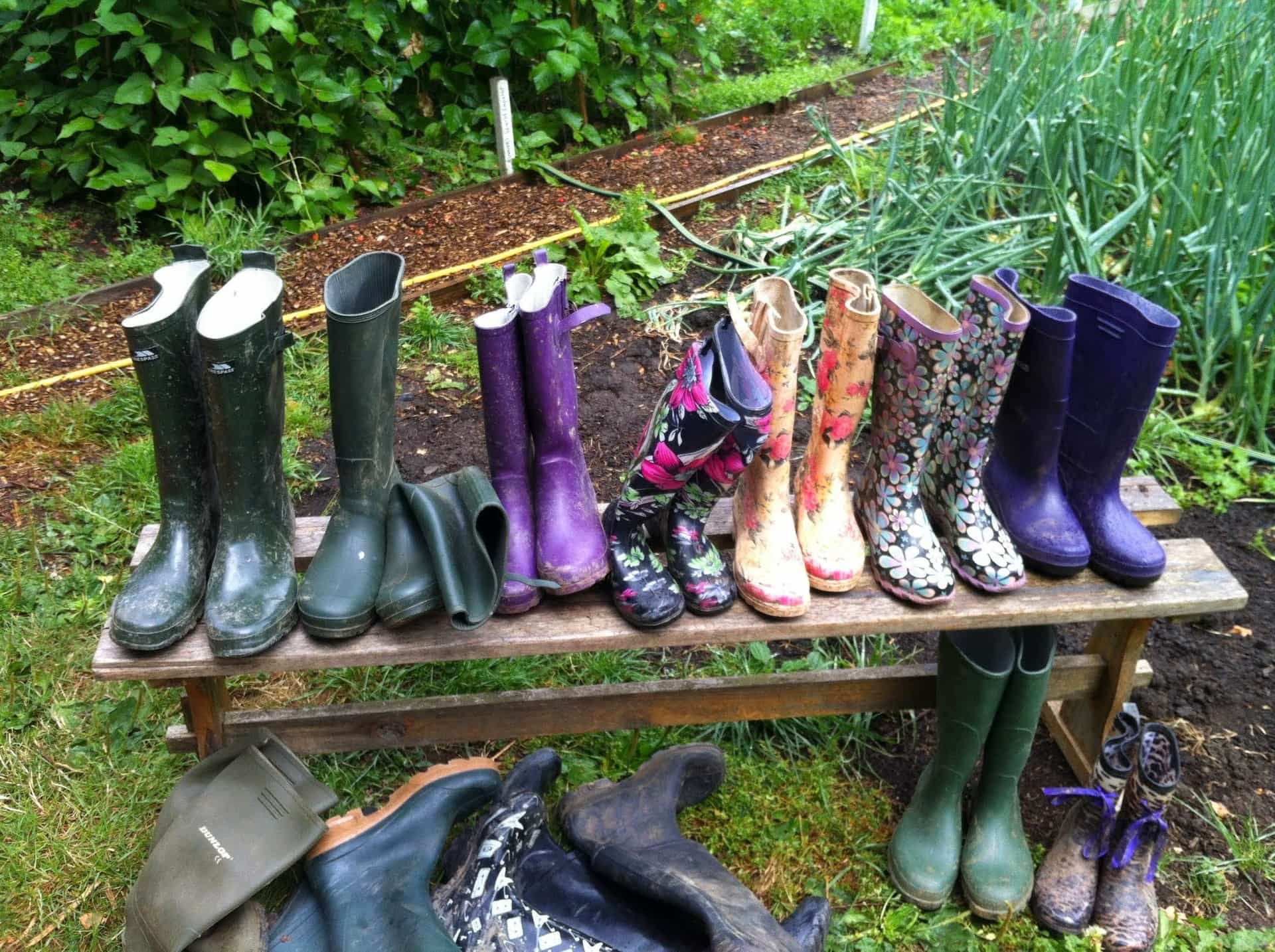 Wye Community Farm | Hobbs Parker