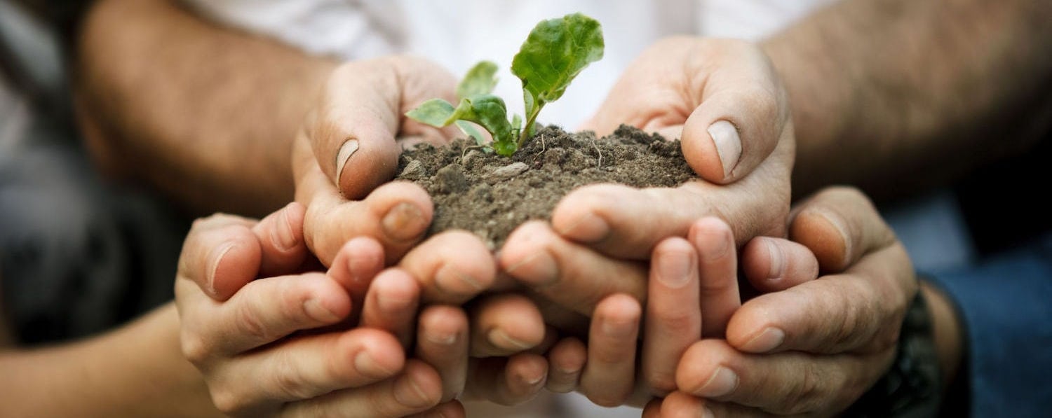 Smarden Conservation Association | Hobbs Parker